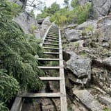 Crane Mountain Loop Hike, New York - 1,493 Reviews, Map | AllTrails