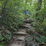 Blood Mountain Loop via Slaughter Creek Trail, Georgia - 652 Reviews ...