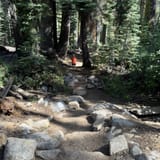 Summit Lake Trail, California - 740 Reviews, Map | AllTrails