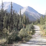 Karst Spring Trail, Alberta, Canada - 1,025 Reviews, Map | AllTrails