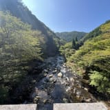 Mount Atago Loop, Kyoto, Japan - 182 Reviews, Map | AllTrails
