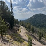 Dunraven Pass to Mount Washburn, Montana - 2,137 Reviews, Map | AllTrails