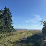 The Knoll Loop, Oregon - 3,714 Reviews, Map | AllTrails