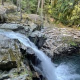 Silver Falls Loop, Washington - 4,013 Reviews, Map | AllTrails