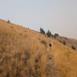 Blue Basin Overlook Loop, Oregon - 459 Reviews, Map | AllTrails