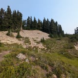 Mount Forgotten Meadows Trail, Washington - 353 Reviews, Map | AllTrails