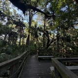 Sea Pines Forest Preserve, South Carolina - 900 Reviews, Map | AllTrails