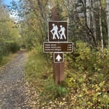 Angel Rocks Trail, Alaska - 997 Reviews, Map | AllTrails