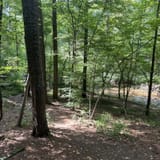 Sycamore Trail Loop, North Carolina - 1,842 Reviews, Map | AllTrails