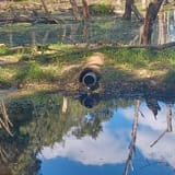 Cumberland Monastery Trail, Rhode Island - 2,127 Reviews, Map | AllTrails