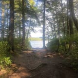 Chamberlain-Reynolds Memorial Forest Loop, New Hampshire - 1,075 ...