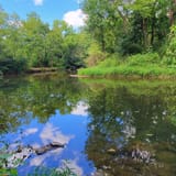 Speedwell Forge Hiking Trail, Pennsylvania - 1,196 Reviews, Map | AllTrails