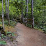 Watson Falls, Oregon - 1,303 Reviews, Map | AllTrails