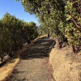 Turtleback Point Loop, California - 154 Reviews, Map | AllTrails