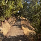 Turtleback Point Loop, California - 153 Reviews, Map | AllTrails
