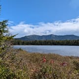 Lonesome Lake Trail, New Hampshire - 4,283 Reviews, Map | AllTrails