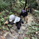 Bukit Saga Waterfall via Trek C, Selangor, Malaysia - 377 Reviews, Map ...