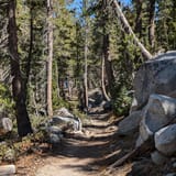 Tenaya Lake Trail, California - 558 Reviews, Map | AllTrails