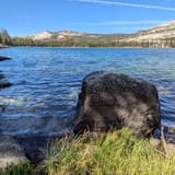 Tenaya Lake Trail, California - 558 Reviews, Map | AllTrails