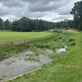 Harlestone Firs and Heath, Northamptonshire, England - 95 Reviews, Map ...