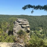 Natural Bridge and Laurel Ridge Trail Loop, Kentucky - 2,208 Reviews ...