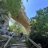 Natural Bridge and Laurel Ridge Trail Loop, Kentucky - 2,208 Reviews ...