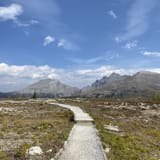 Sunshine Meadows, Alberta, Canada - 337 Reviews, Map | AllTrails