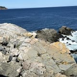 Middle Head Trail, Nova Scotia, Canada - 1,798 Reviews, Map | AllTrails