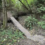 Puyallup Loop Trail, Washington - 1,414 Reviews, Map | AllTrails