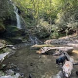 Catawba Falls River and Ridge Loop, North Carolina - 145 Reviews, Map ...