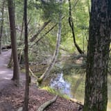 Inverhuron Provincial Park, Ontario, Canada - 453 Reviews, Map | AllTrails