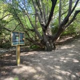 Inverhuron Provincial Park, Ontario, Canada - 453 Reviews, Map | AllTrails