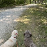 Unity Village Nature Trail, Missouri - 1,648 Reviews, Map | AllTrails