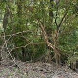 Unity Village Nature Trail, Missouri - 1,648 Reviews, Map | AllTrails