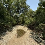 Unity Village Nature Trail, Missouri - 1,648 Reviews, Map | AllTrails