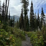 Emerald Lake Loop, British Columbia, Canada - 3,648 Reviews, Map ...