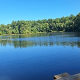 Leach Pond Trail, Massachusetts - 2,802 Reviews, Map | AllTrails