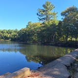 Leach Pond Trail, Massachusetts - 2,888 Reviews, Map | AllTrails