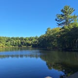 Leach Pond Trail, Massachusetts - 2,802 Reviews, Map | AllTrails