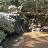 Cascade Falls Loop Trail, Maryland - 3,039 Reviews, Map | AllTrails