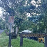 Makiki Valley Loop, Oahu, Hawaii - 5,968 Reviews, Map | AllTrails