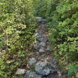 Riprap Trail , Virginia - 1,780 Reviews, Map | AllTrails
