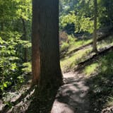 Cascade Falls Loop Trail, Maryland - 3,039 Reviews, Map | AllTrails
