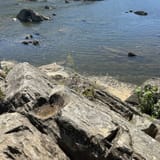 Carderock Park Loop, Maryland - 1,354 Reviews, Map | AllTrails