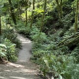 Dash Point Trail, Washington - 1,366 Reviews, Map | AllTrails