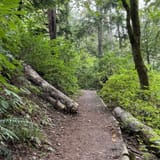 Dash Point Trail, Washington - 1,366 Reviews, Map | AllTrails