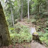 Dash Point Trail, Washington - 1,366 Reviews, Map | AllTrails