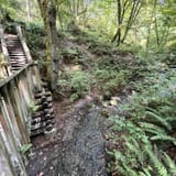 Dash Point Trail, Washington - 1,354 Reviews, Map | AllTrails