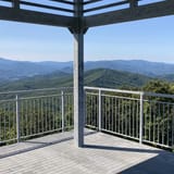 Pinnacle Mountain Fire Tower Trail, Tennessee - 1,022 Reviews, Map ...