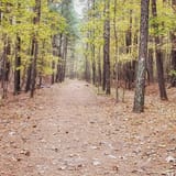 Harris Lake Peninsula Trail, North Carolina - 2,061 Reviews, Map ...